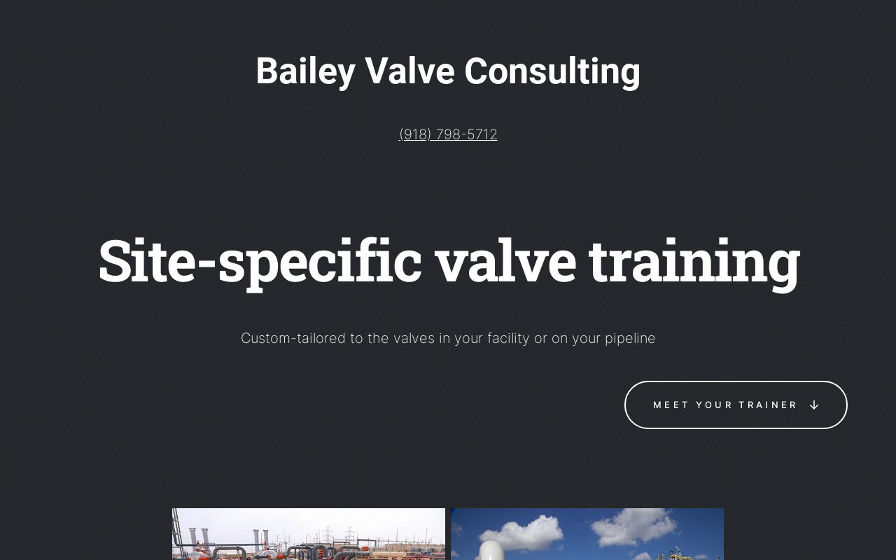 Bailey Valve Consulting Bailey Valve Consulting